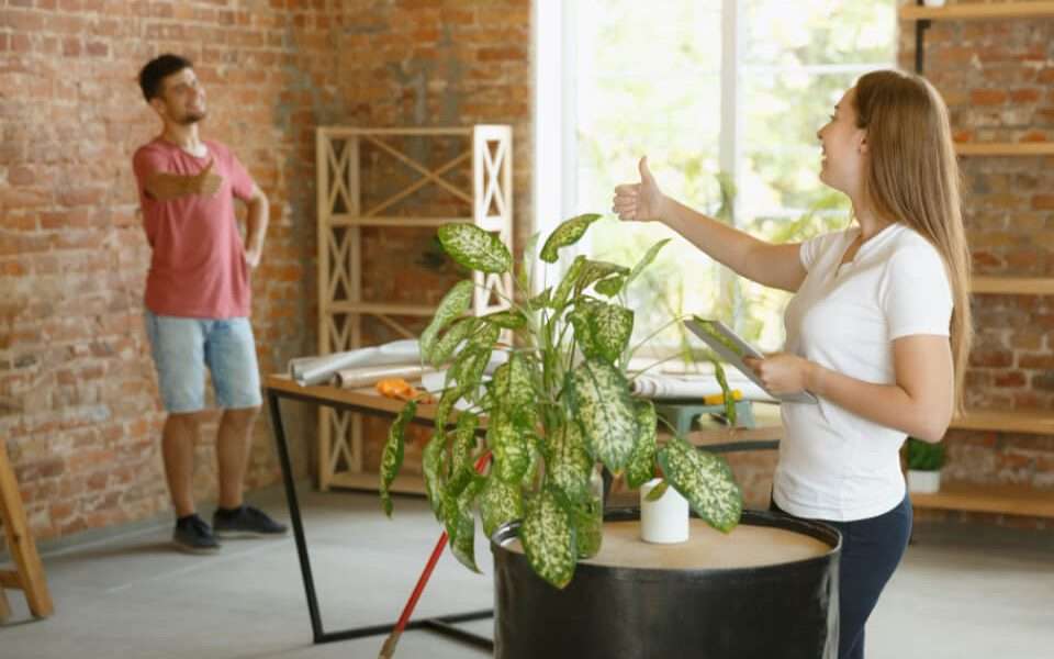 Tips For Decorating A Safe & Healthy Home Environment 2025